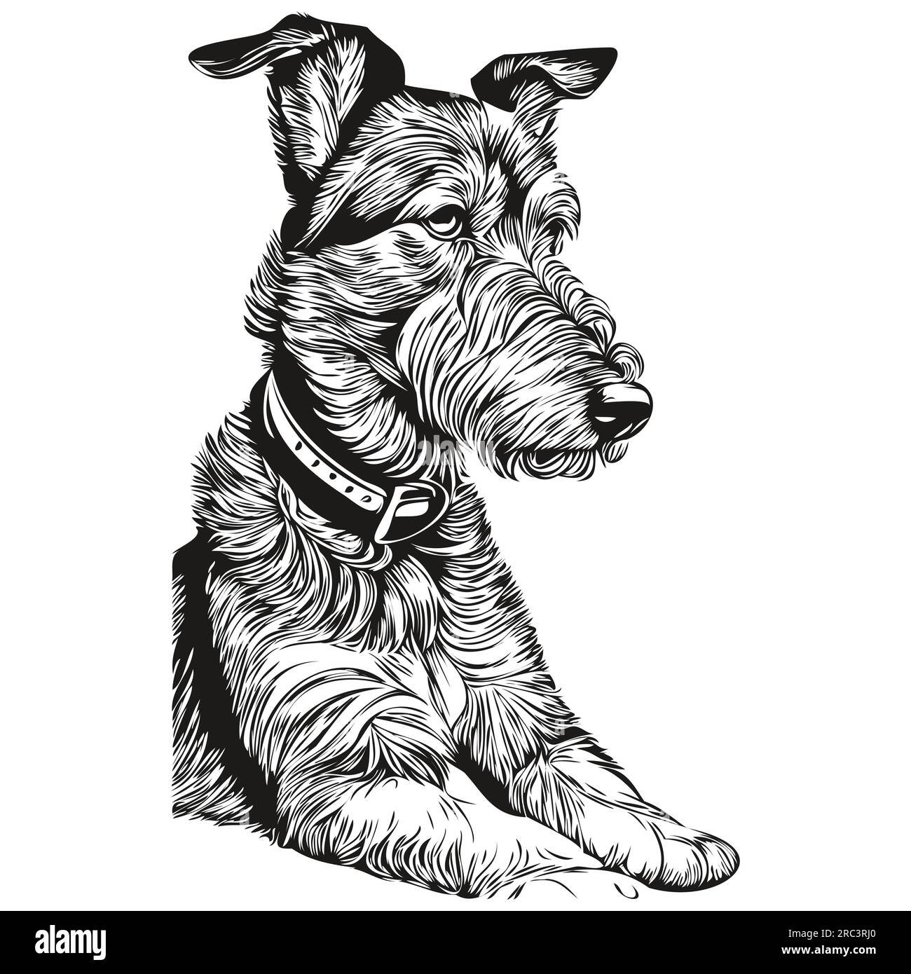 Portrait airedale terrier Stock Vector Images - Alamy