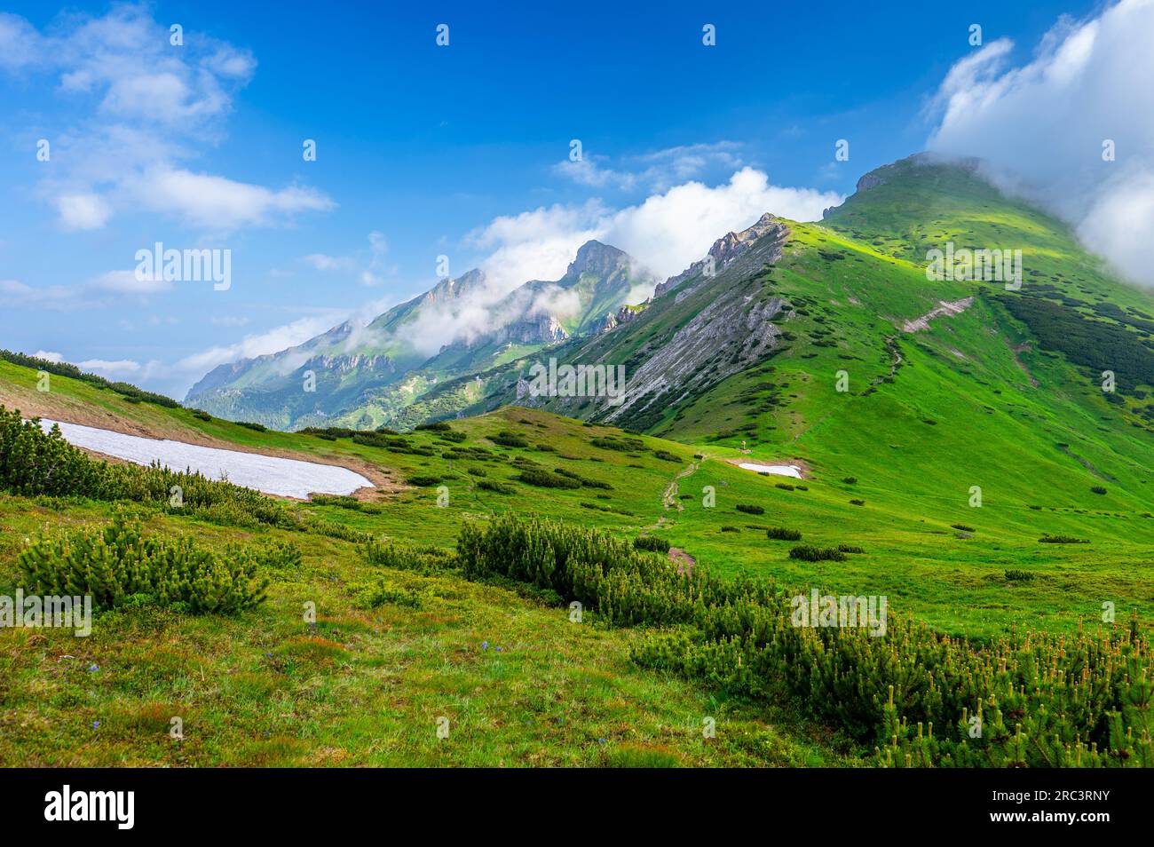 Summer landscape of the Belianske Tatras. Tatra National Park, Slovakia ...
