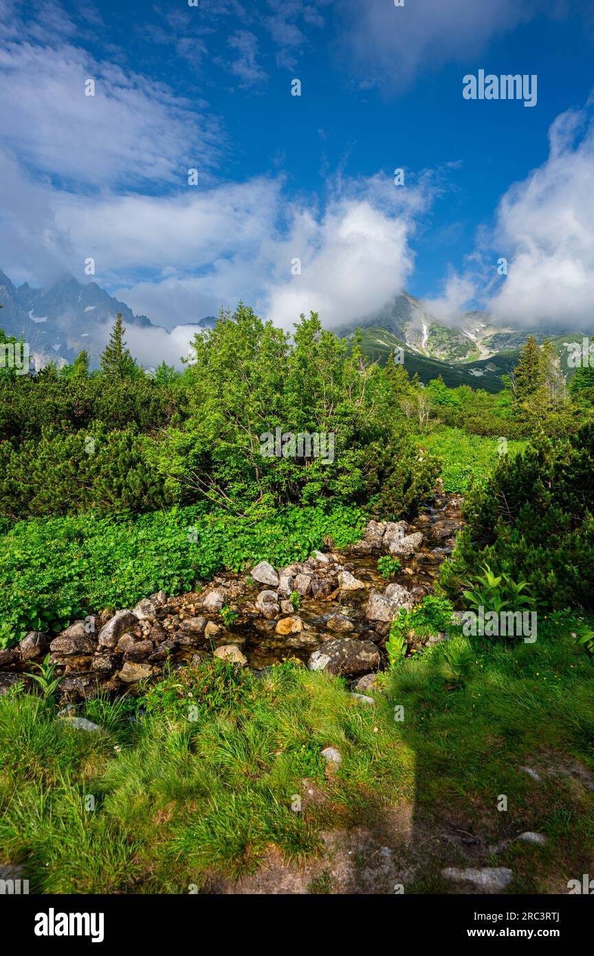 A view of the High Tatras from the Belianske Tatras. Tatra National ...