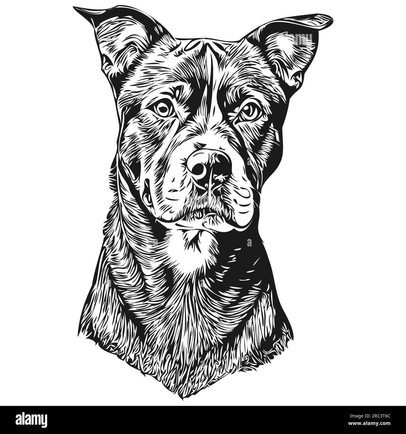 Staffordshire terrier painting hi-res stock photography and images - Alamy