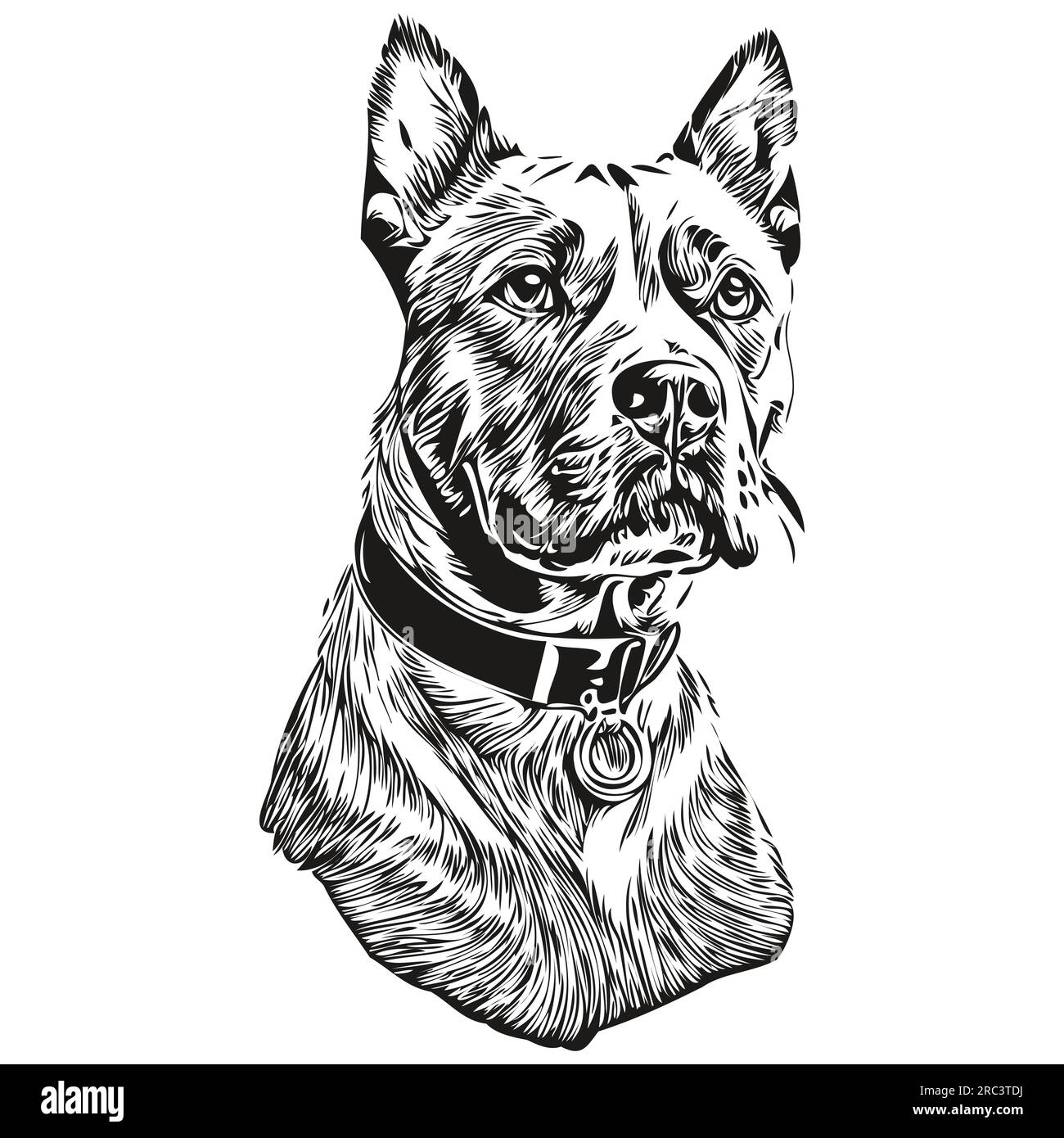 Staffordshire terrier painting hi-res stock photography and images - Alamy