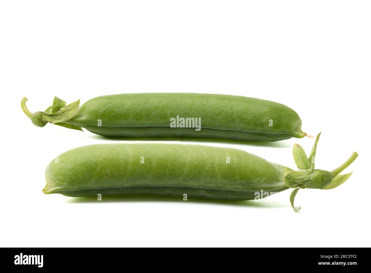 Close up pea crop Cut Out Stock Images & Pictures - Alamy