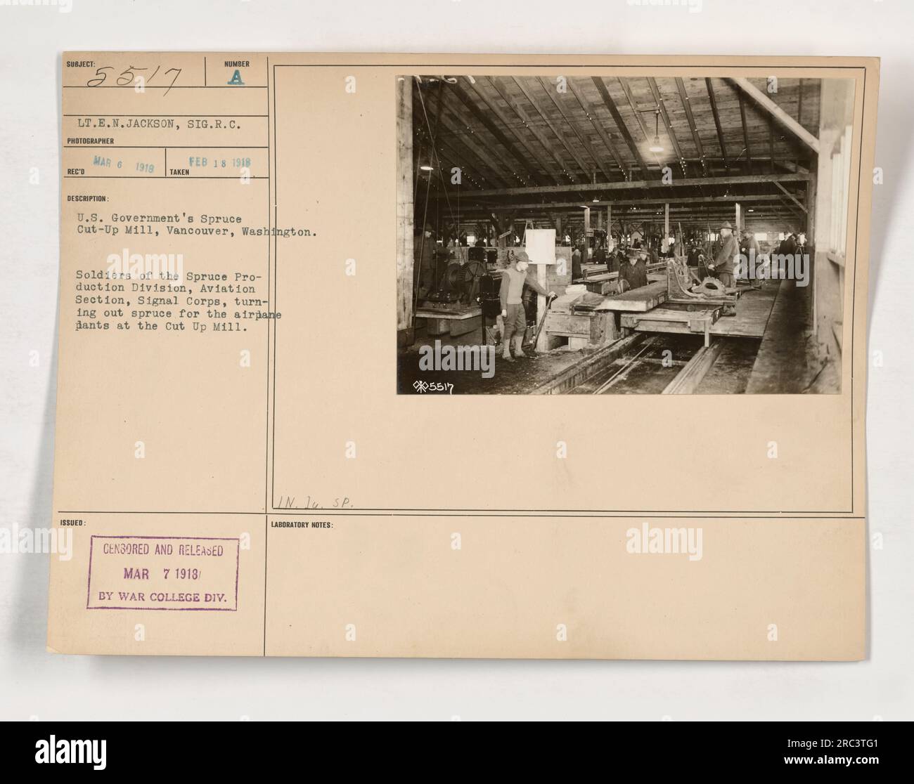 Turning out spruce hi-res stock photography and images - Alamy