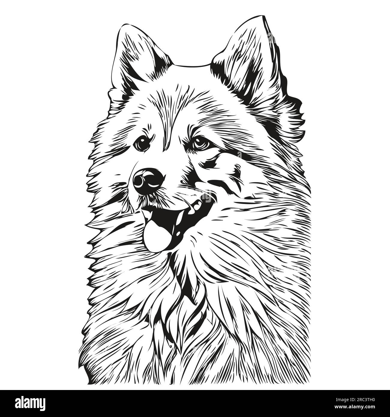 American Eskimo Dog Black And White