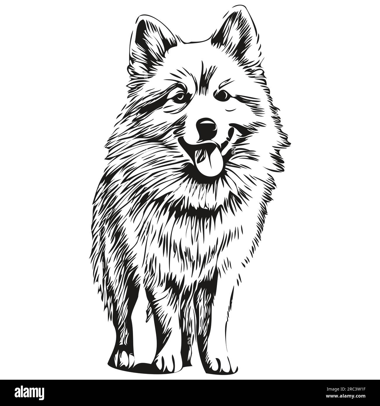 American eskimo portrait Stock Vector Images - Alamy