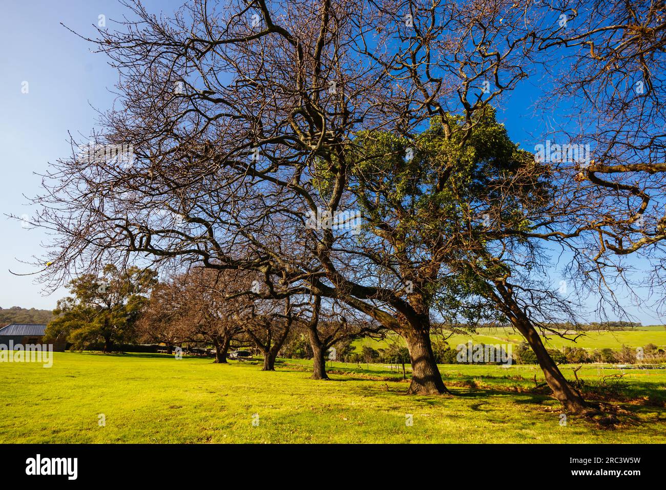 The Briars in Mount Martha Australia Stock Photo - Alamy