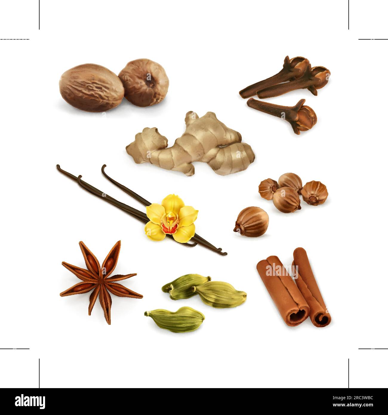 Ginger grain Stock Vector Images - Alamy