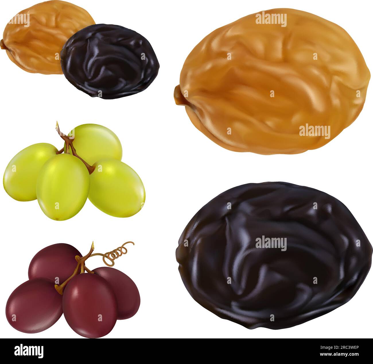 White grape photo Stock Vector Images - Alamy