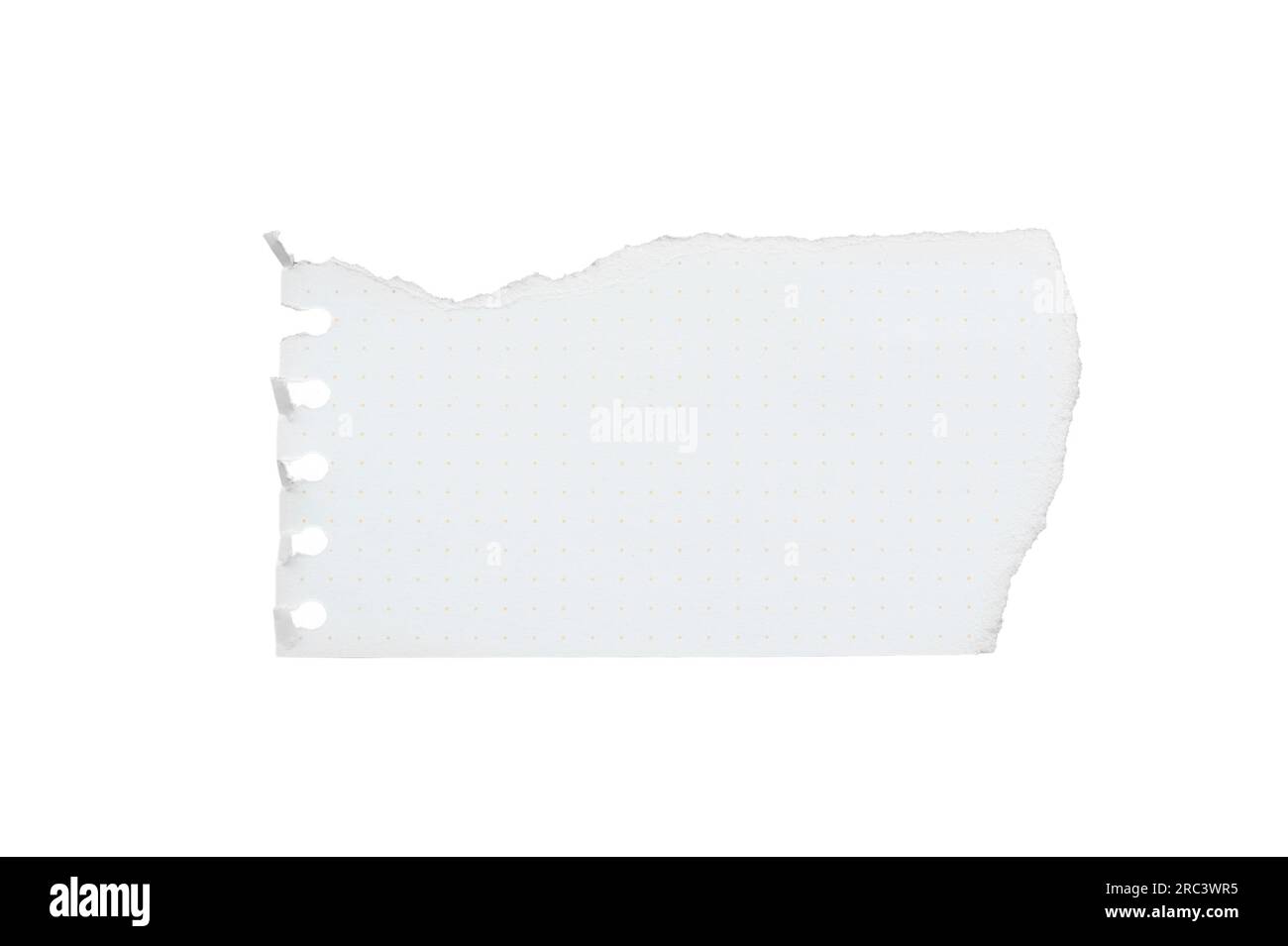 close up of a white ripped piece of paper with copyspace. torn paper ...