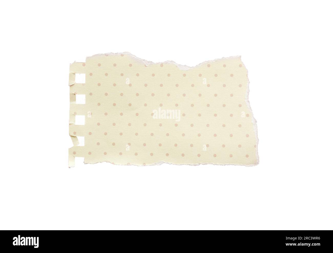 close up of a white ripped piece of paper with copyspace. torn paper ...