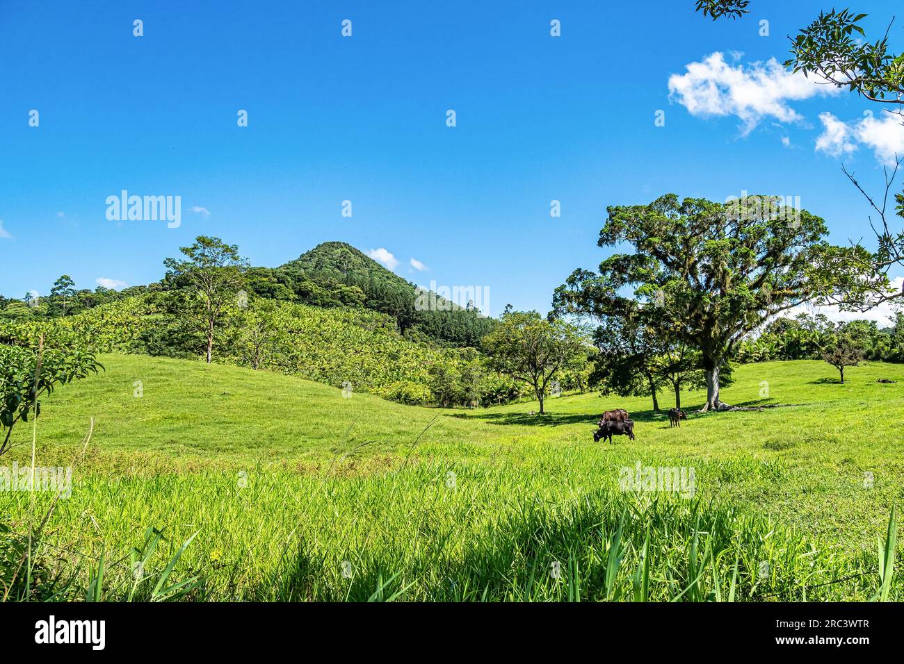Beautiful landscape view of Atalaia Park, Itajai City, Brazil. Parque ...
