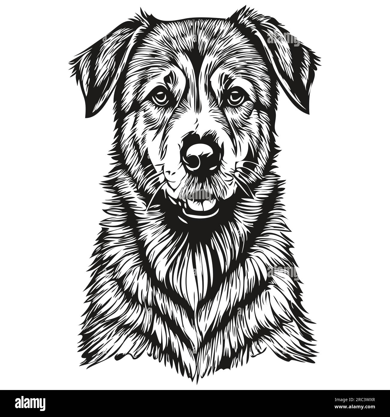 Anatolian shepherd dog silhouette Stock Vector Images - Alamy