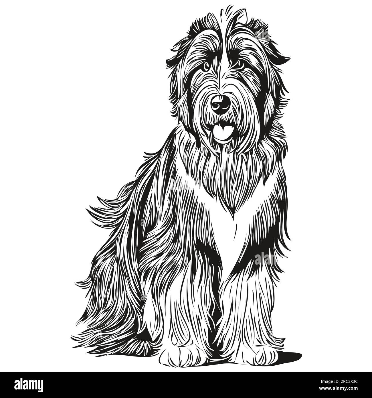 Bearded Collie dog outline pencil drawing artwork, black character on ...