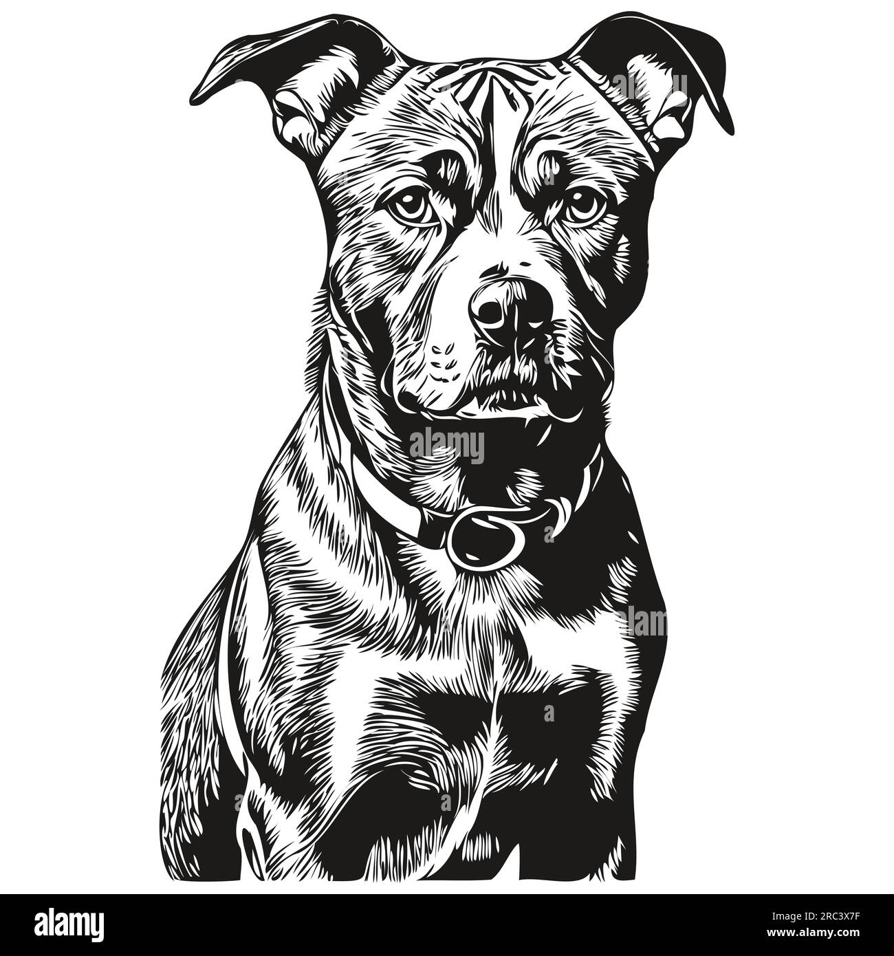 Staffordshire terrier painting hi-res stock photography and images - Alamy