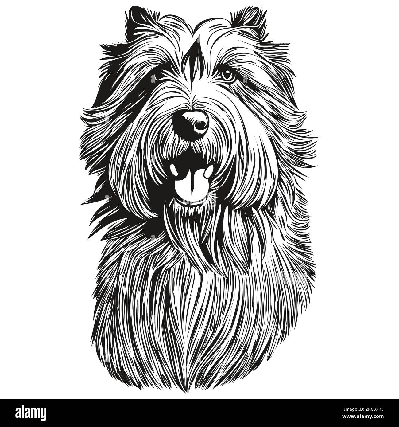 Face collie Stock Vector Images - Alamy