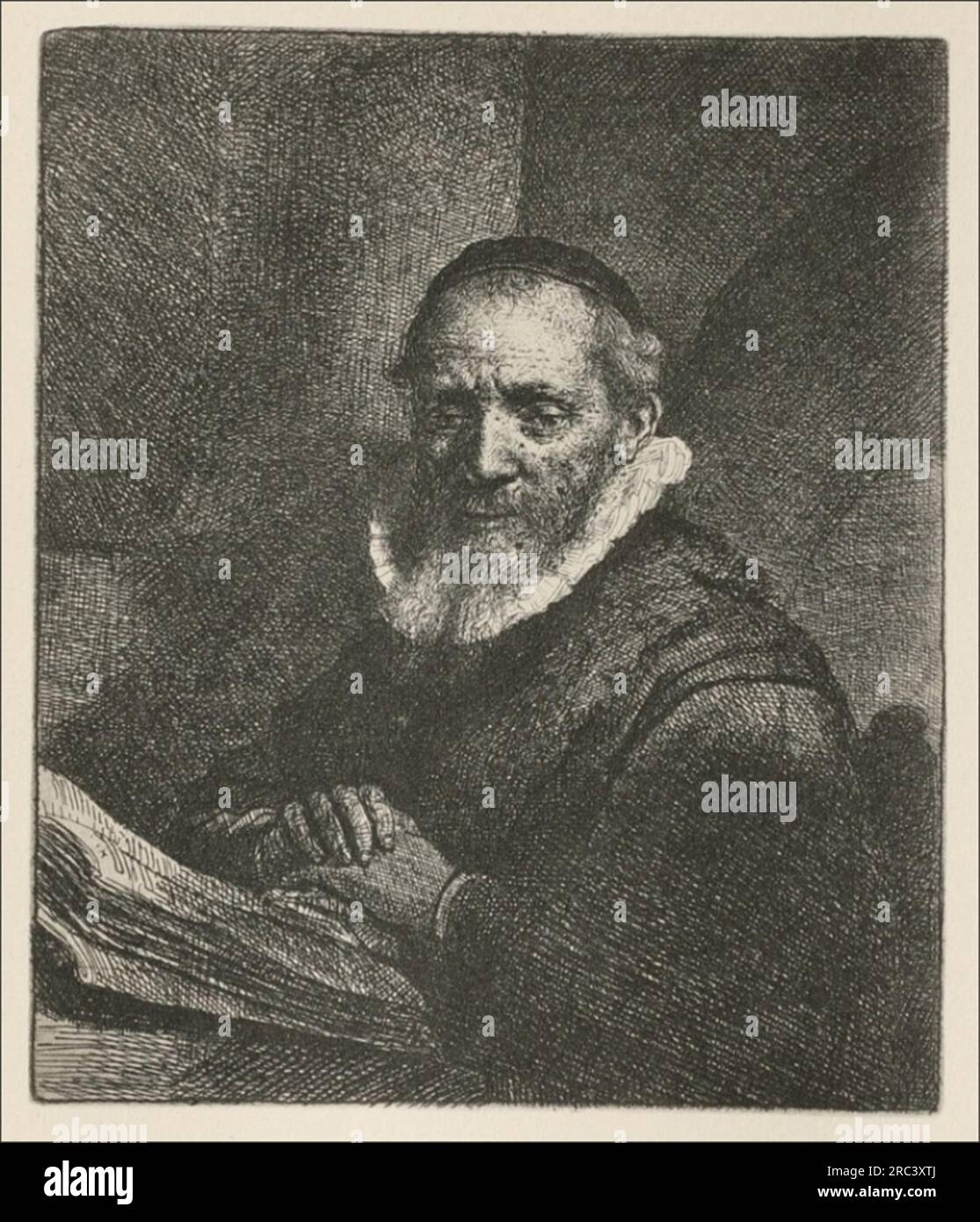 Jan Cornelis Sylvius 1634 by Rembrandt Stock Photo - Alamy