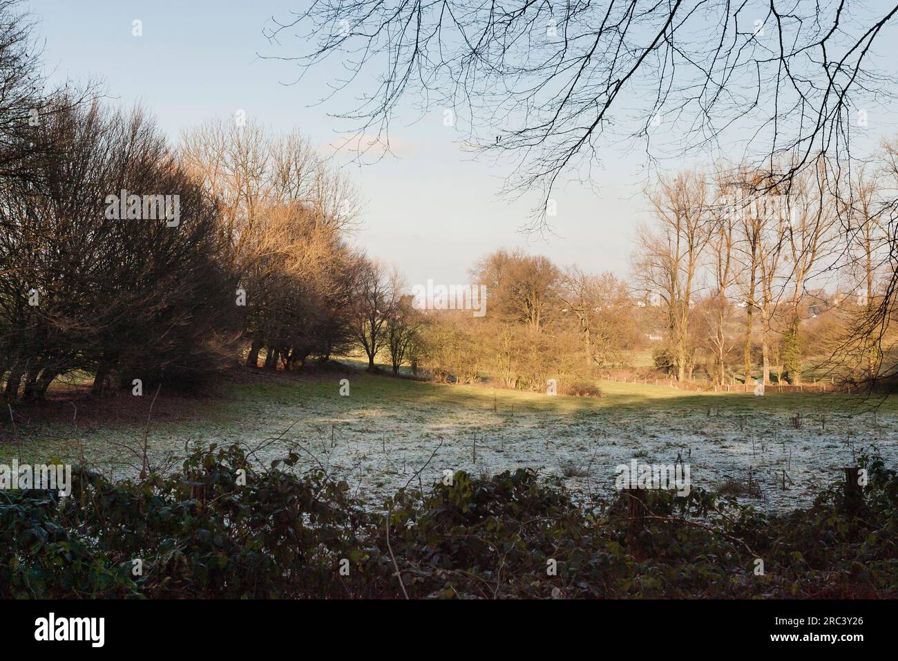 Landschap met bomen in Vaals; Landscape with trees at Vaals Stock Photo ...
