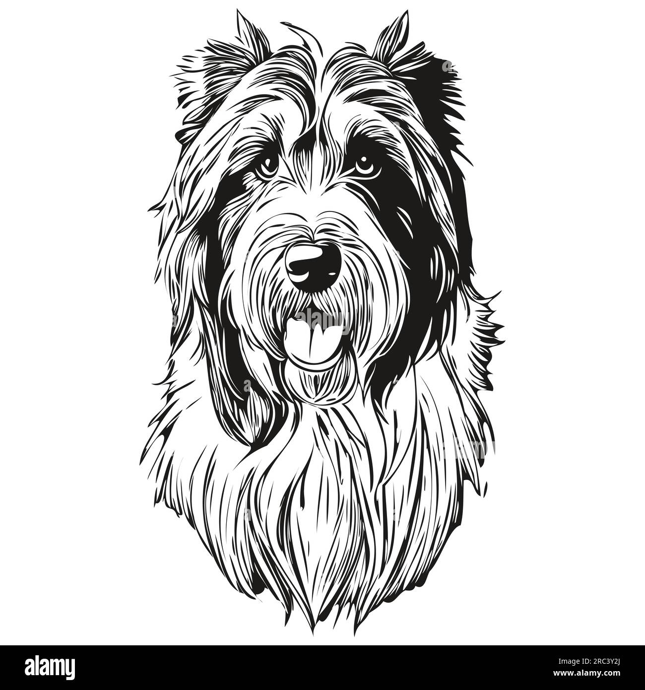 Bearded collie dog cartoon Stock Vector Images - Alamy