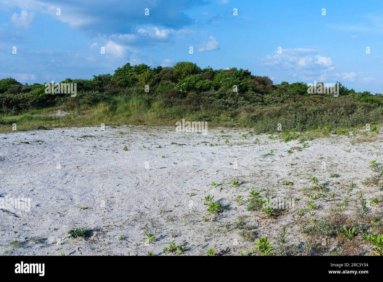 Duinen van hi-res stock photography and images - Alamy