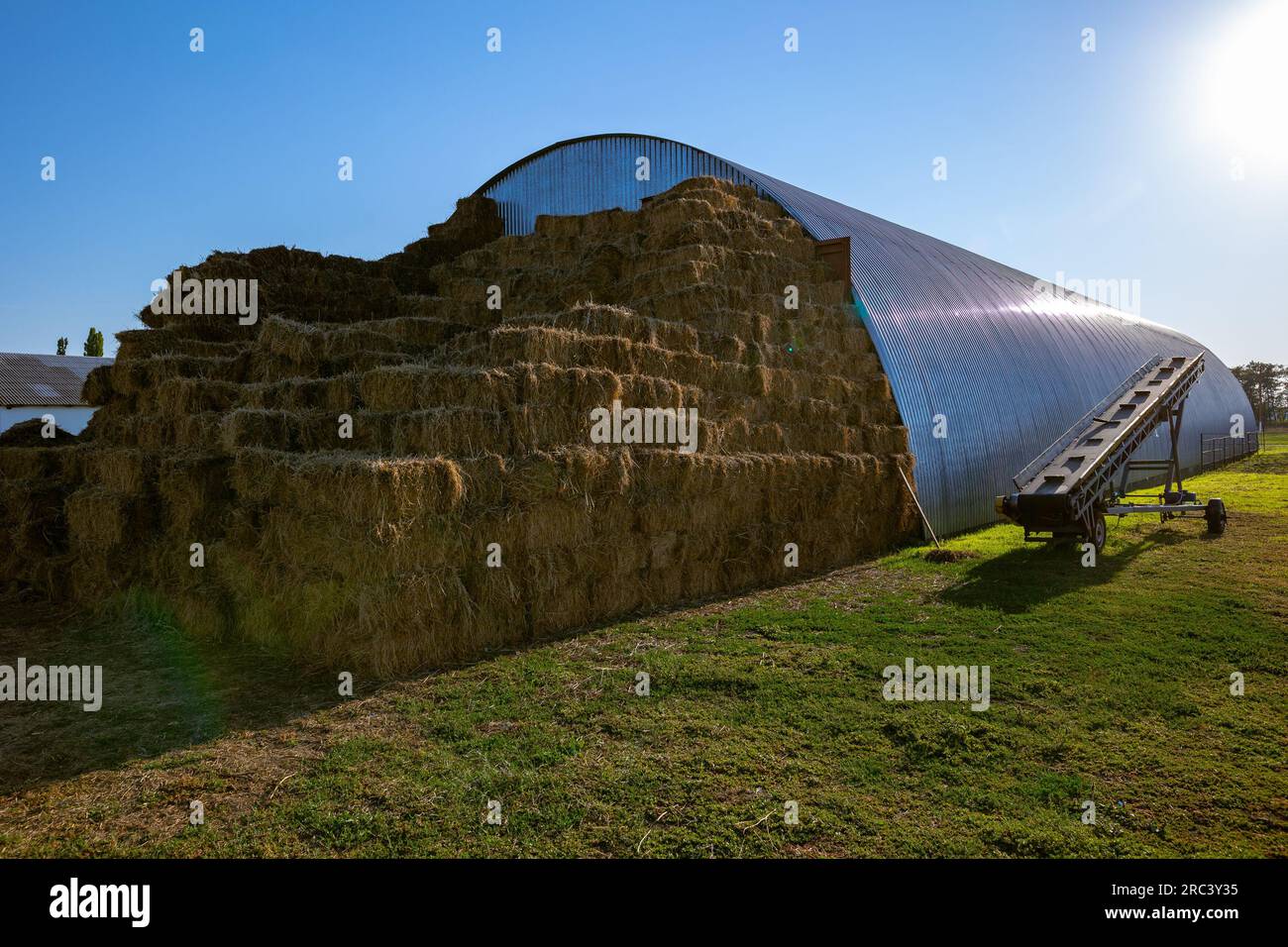 Storage of hay and straw in bales on the farm. Concept theme: Stock ...