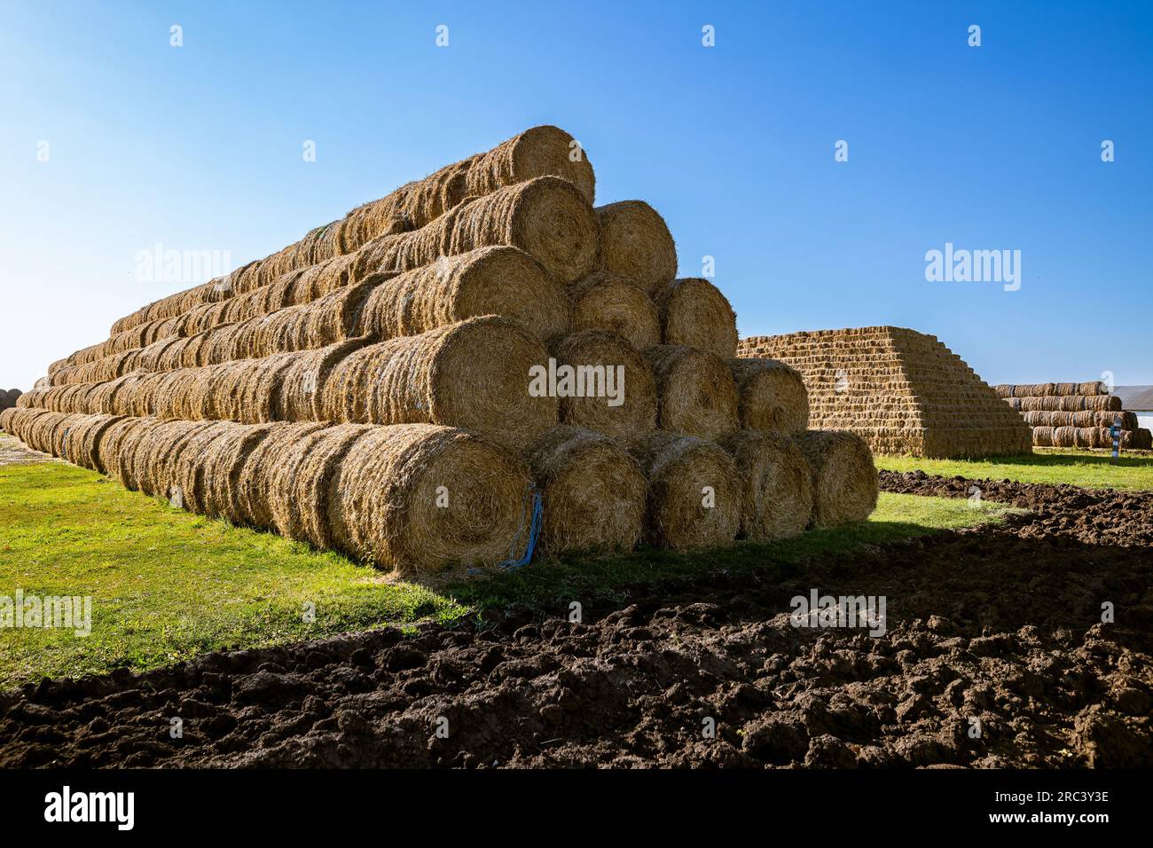Storage of hay and straw in bales and rolls on the farm. Concept theme ...