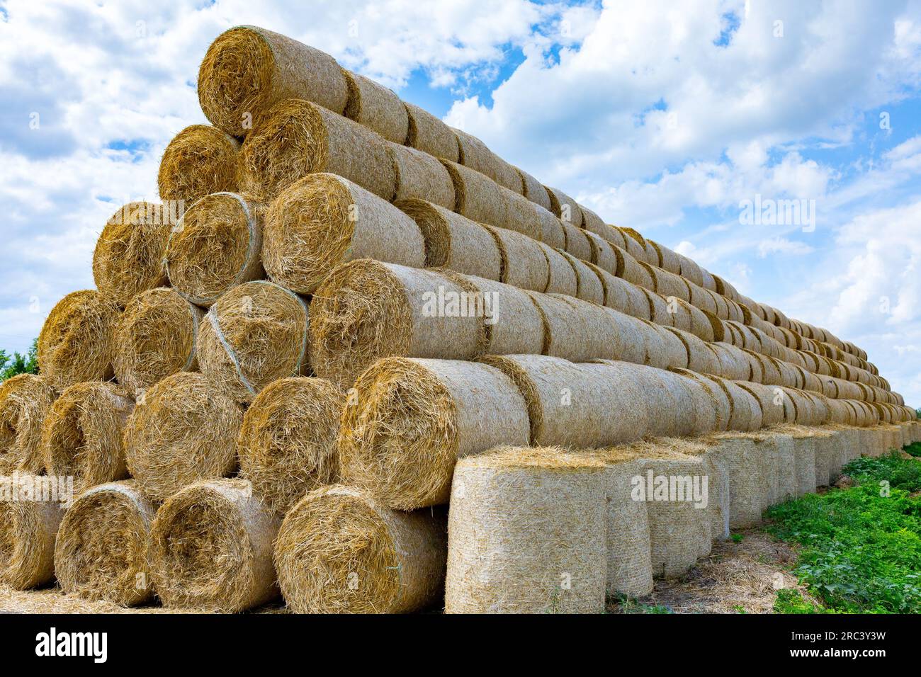 Storage of hay and straw in rolls on the farm. Concept theme: Stock ...