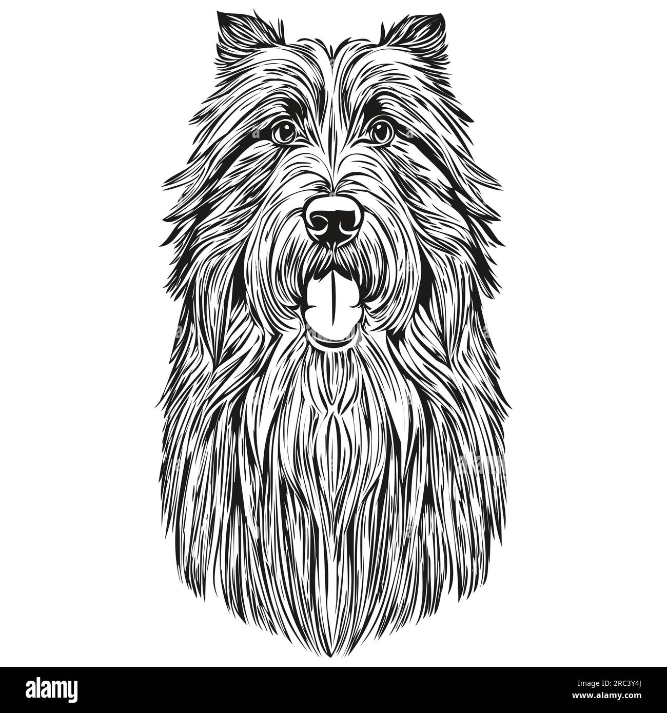 Collie dog Stock Vector Images - Alamy