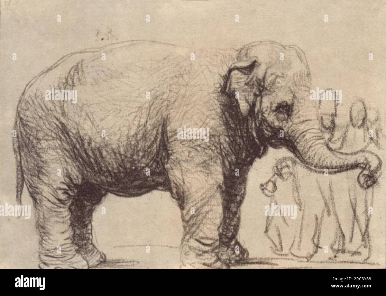 An Elephant 1637 by Rembrandt Stock Photo - Alamy