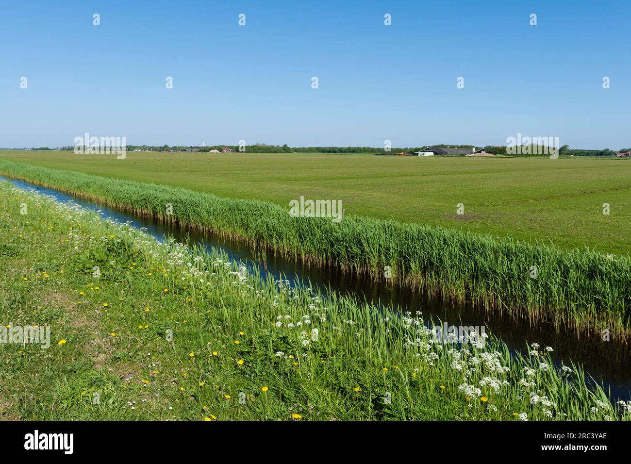 Sloot langs weilanden op Schiermonnikoog; Ditch along meadows at ...