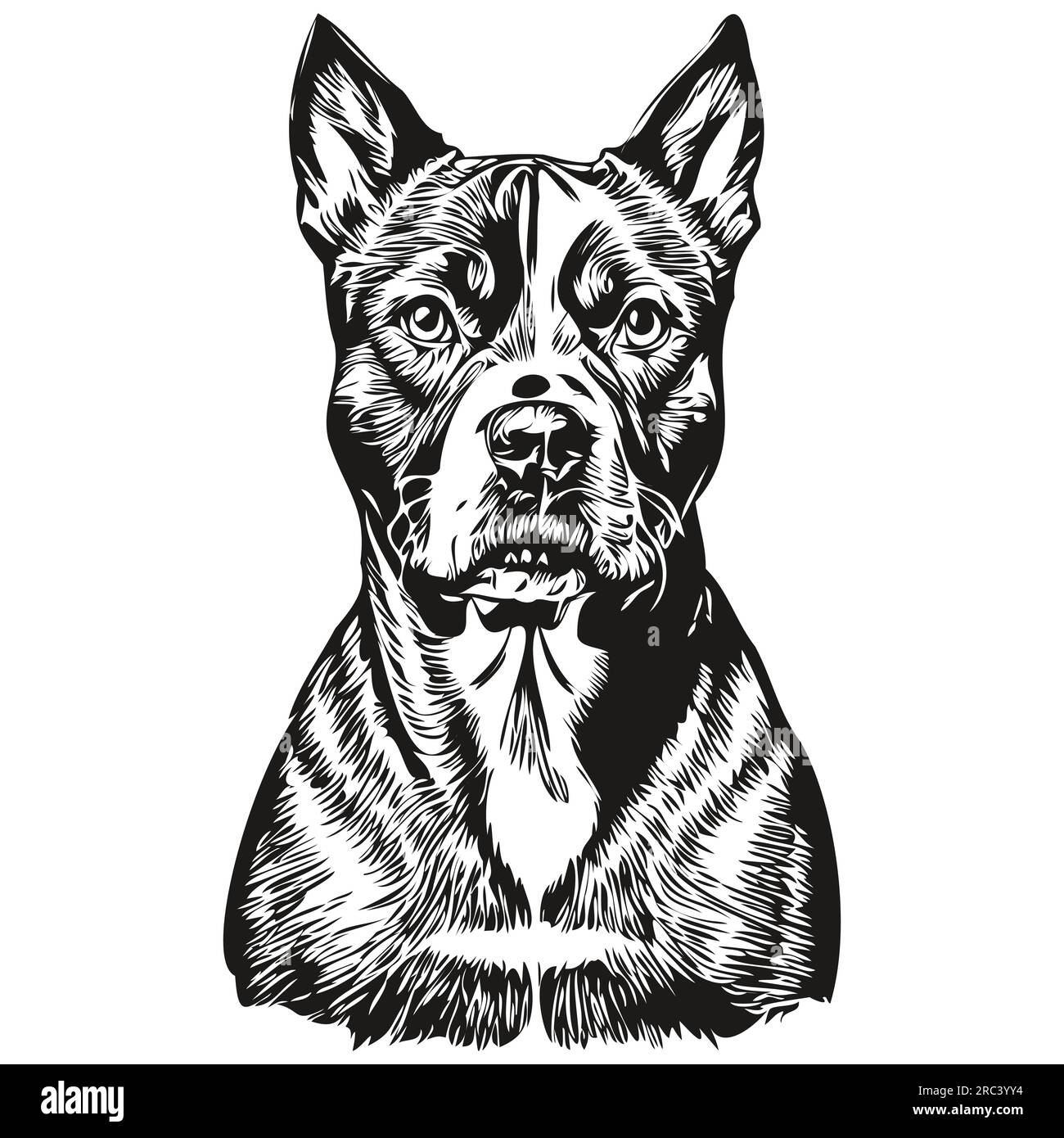 Staffordshire vector vectors Stock Vector Images - Alamy