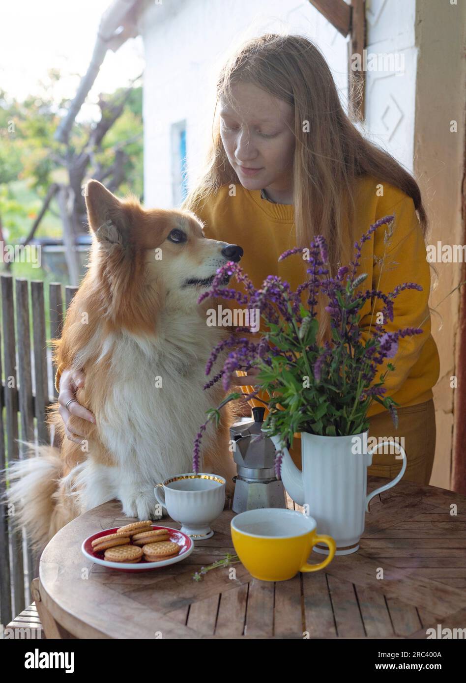 Corgi Drunk