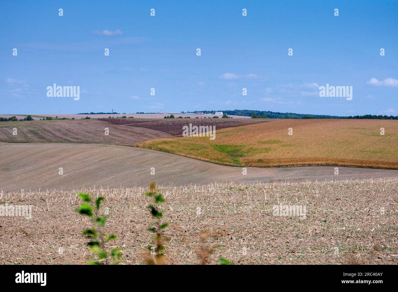Various crops hi-res stock photography and images - Alamy