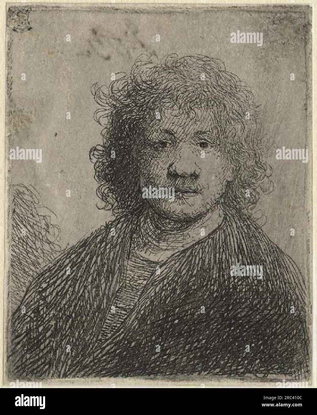 Self-portrait with a broad nose 1630 by Rembrandt Stock Photo - Alamy