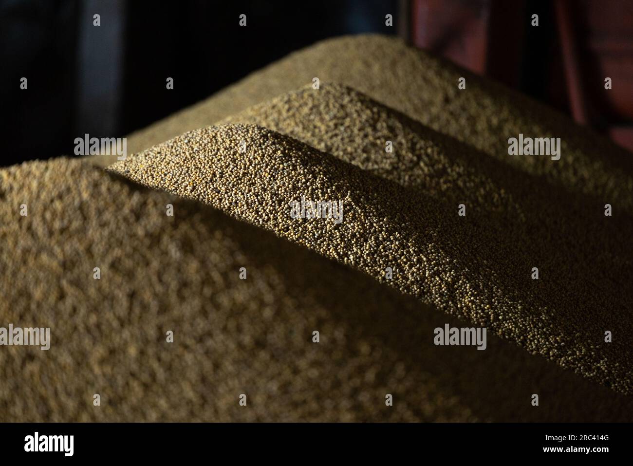 Piles of soybean grains drying at mill storage or grain elevator. The ...