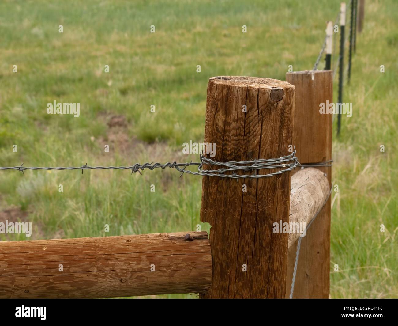 Open range farm Stock Photo - Alamy