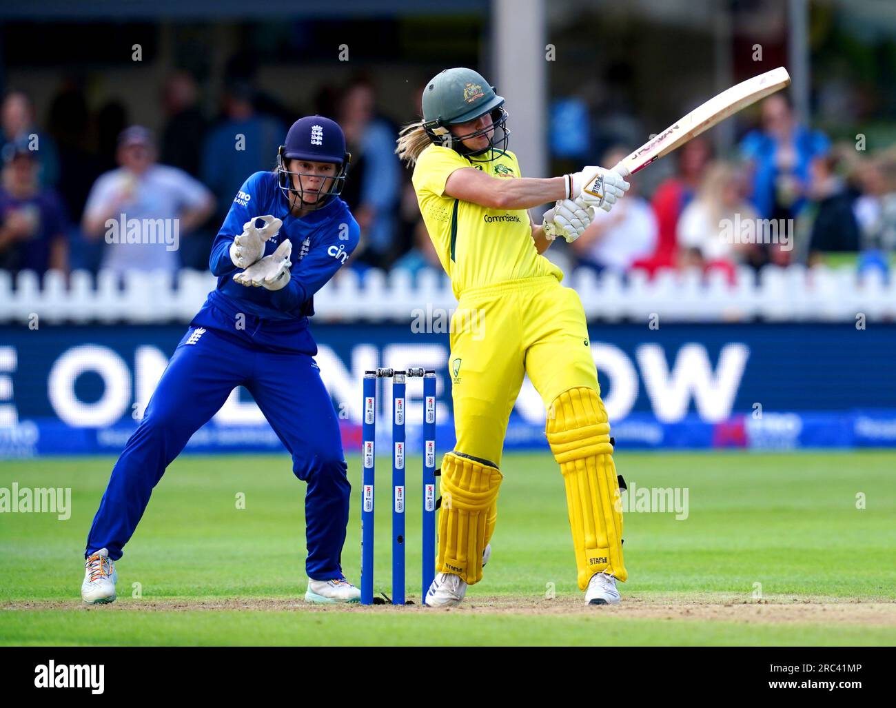 Australias ellyse perry hi-res stock photography and images - Alamy