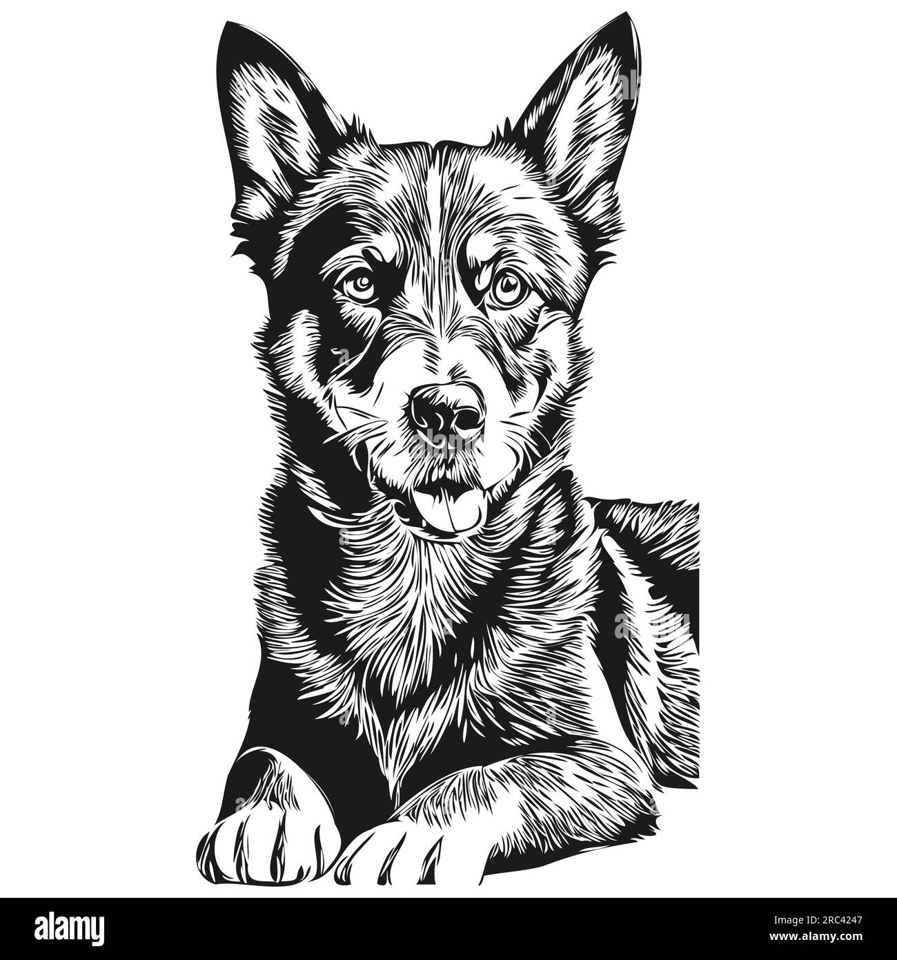 Beauceron dog Stock Vector Images - Alamy