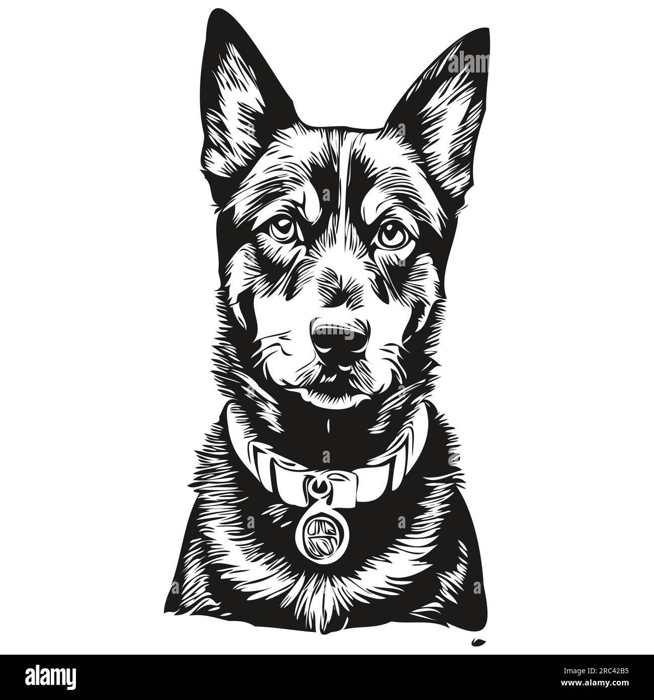 Beauceron dog Stock Vector Images - Alamy