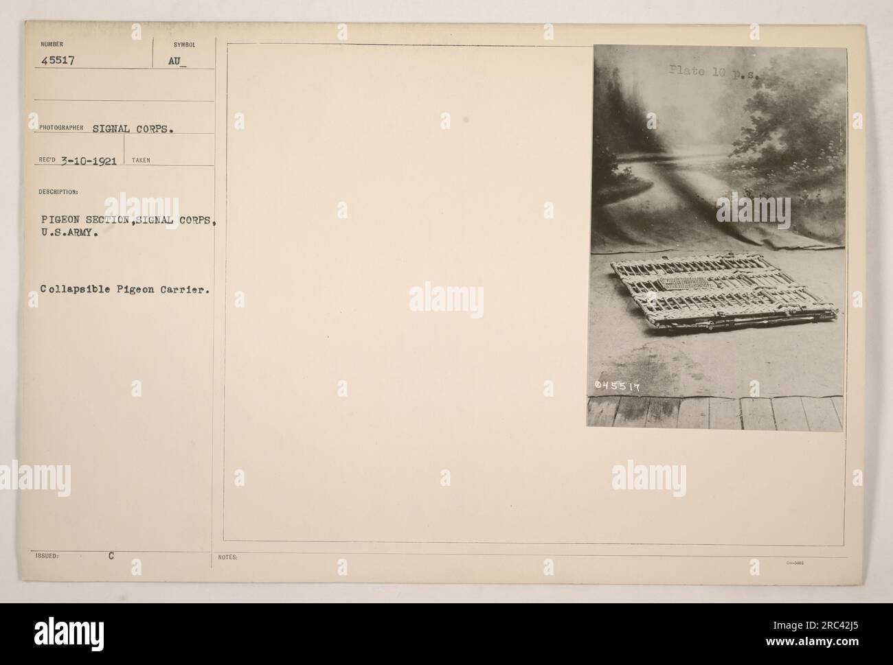 A Pigeon Section member, belonging to the U.S. Army's Signal Corps, is ...