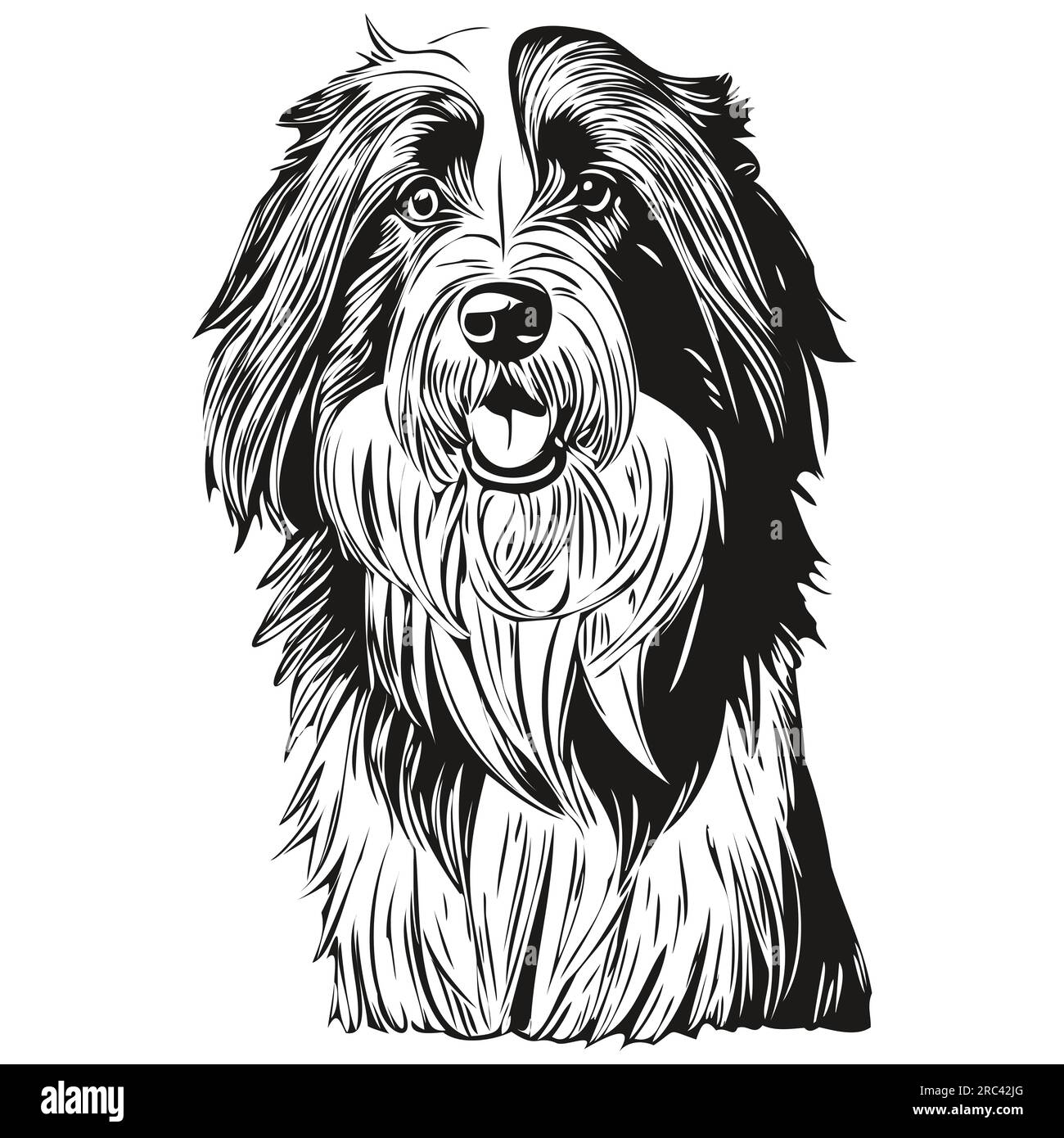 Collie dog Stock Vector Images - Alamy