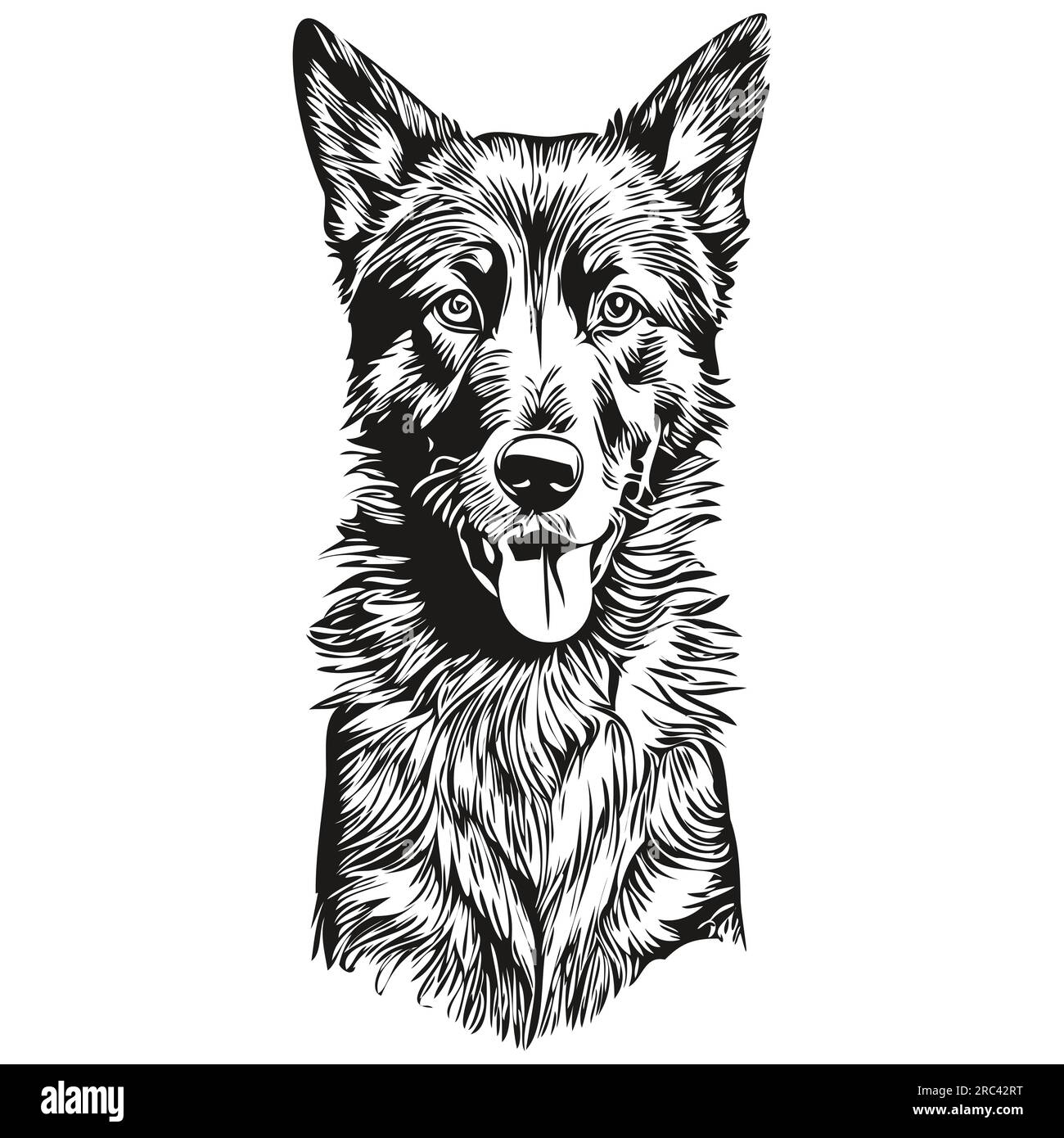 Beauceron dog Stock Vector Images - Alamy