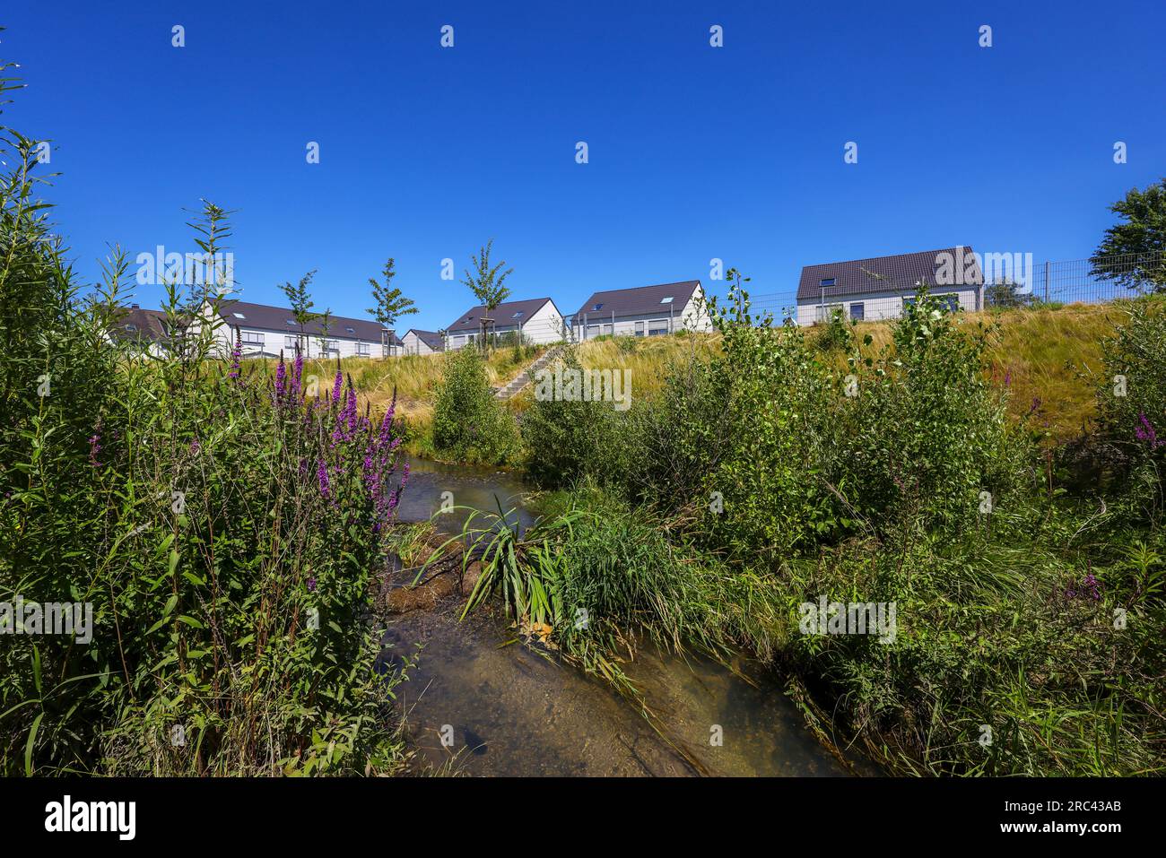 Creek bed rehabilitation hi-res stock photography and images - Alamy