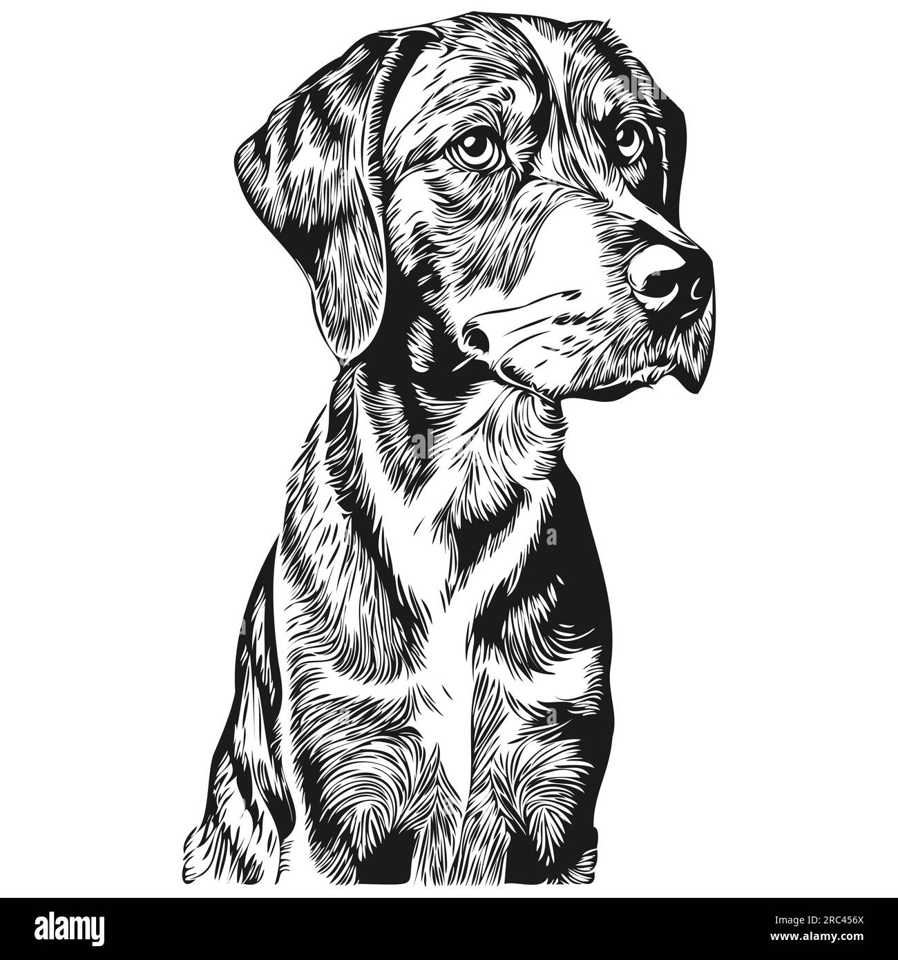 Bluetick vector vectors hi-res stock photography and images - Alamy