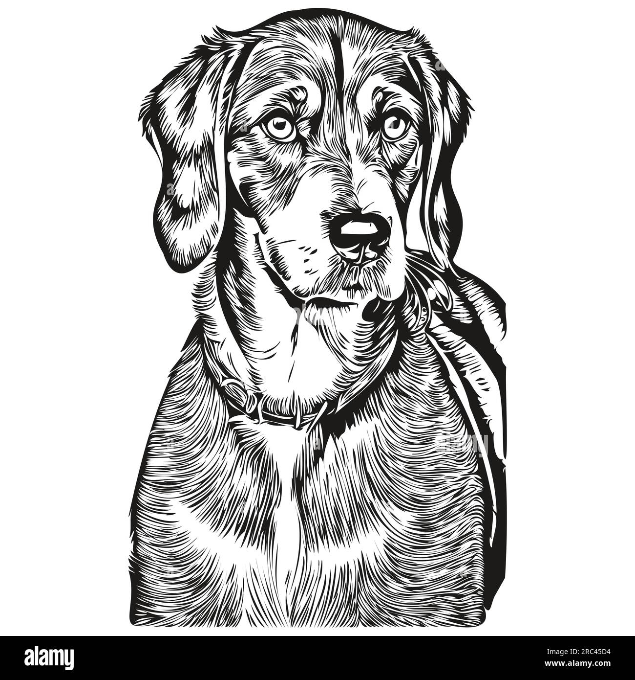 Bluetick vector vectors hi-res stock photography and images - Alamy