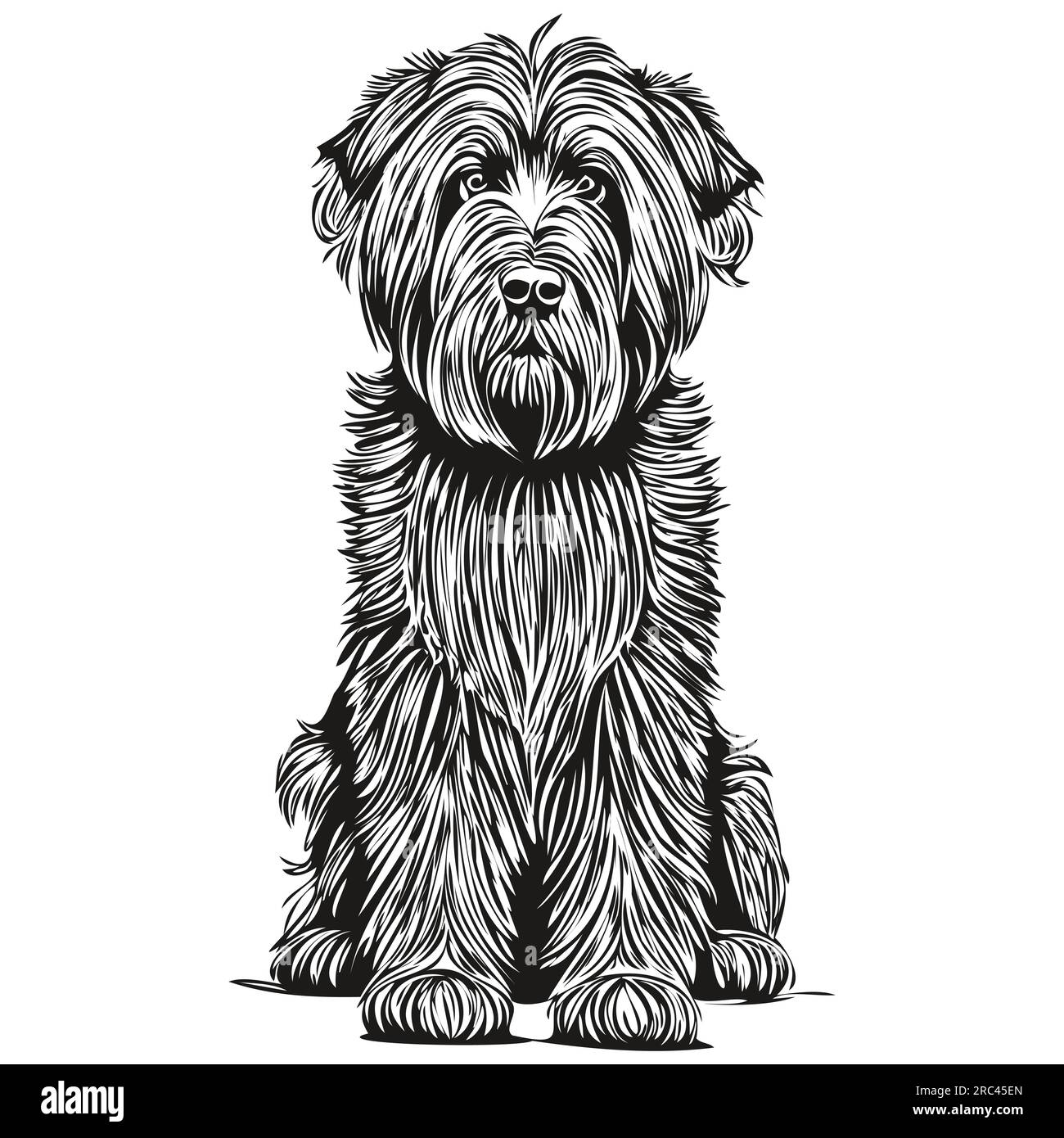 Animal silhouette vector clip art Stock Vector Images - Alamy