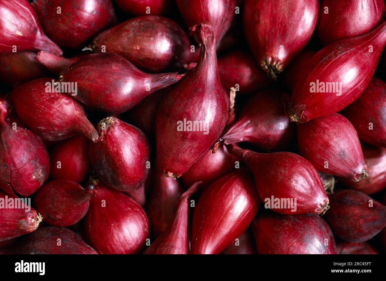 Beauty sets hi-res stock photography and images - Alamy