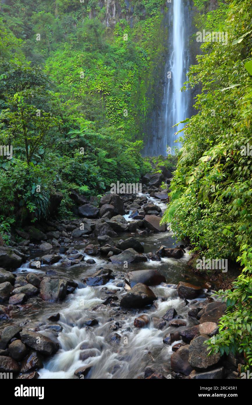 Waterfall in Guadeloupe Caribbean island. Chutes du Carbet, waterfall ...