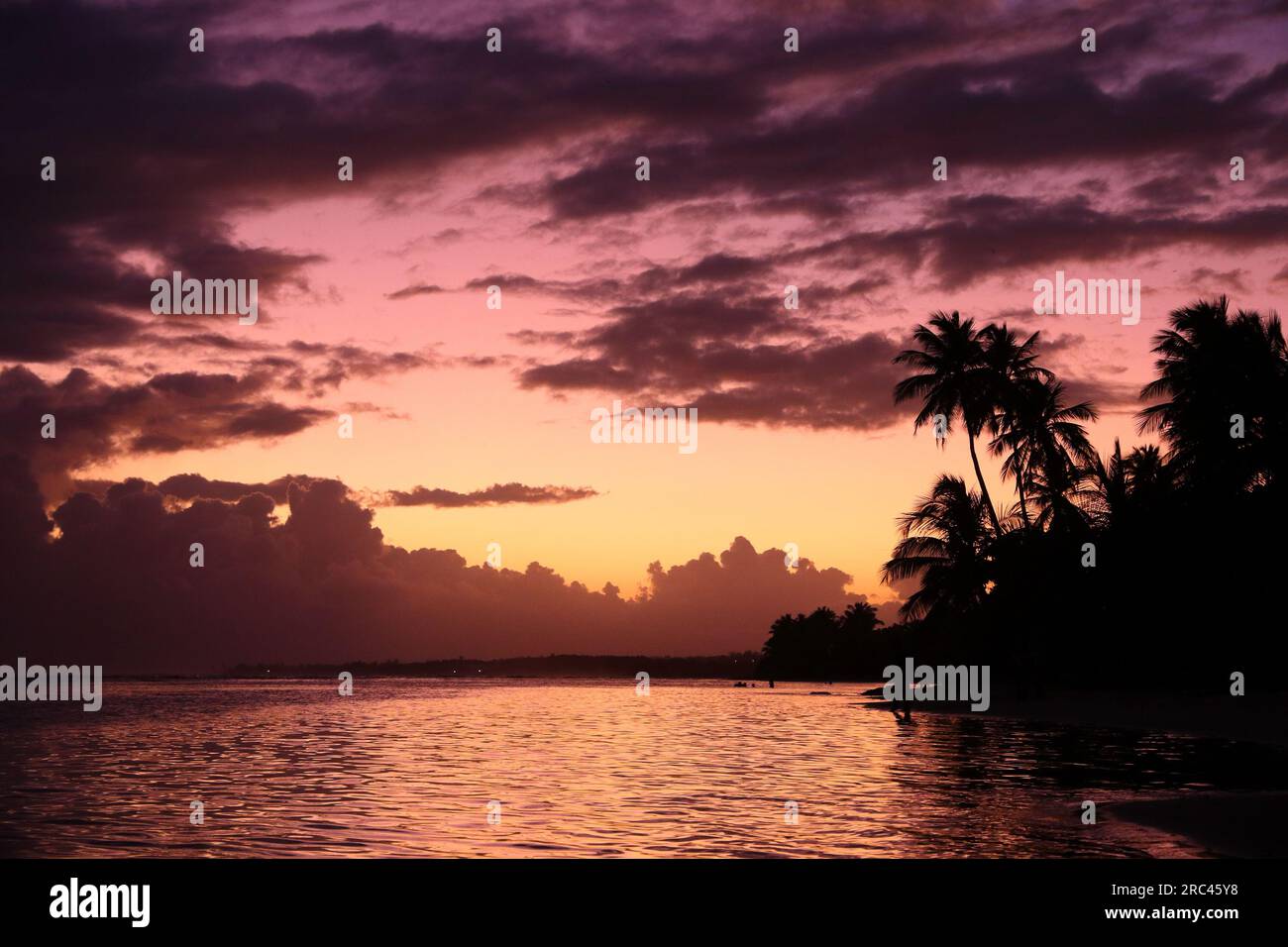 Guadeloupe beach sunset. Caribbean vacation landscape. Bois Jolan Beach ...