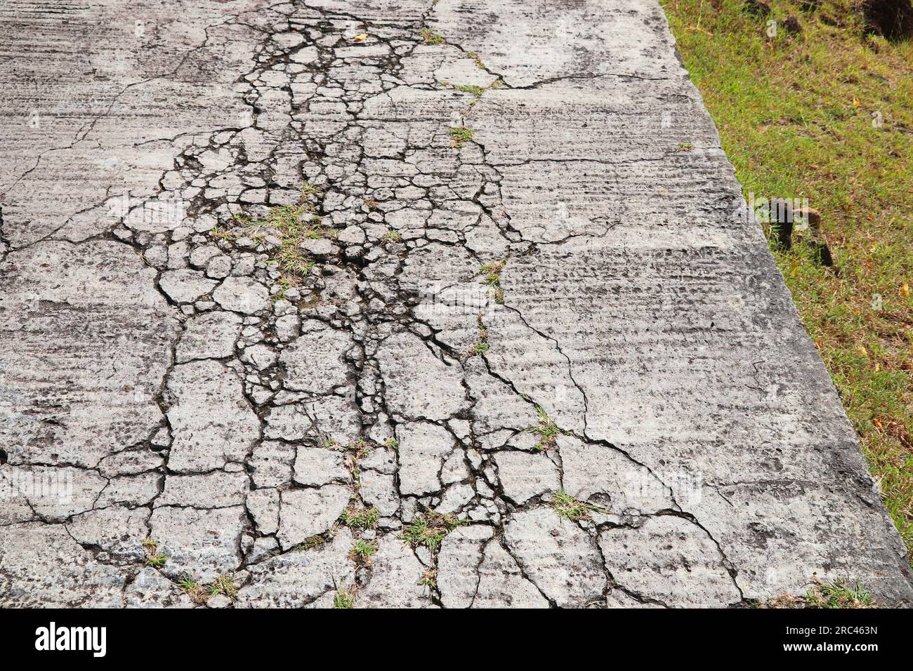 Damaged concrete road surface with weeds in Guadeloupe. Countryside ...