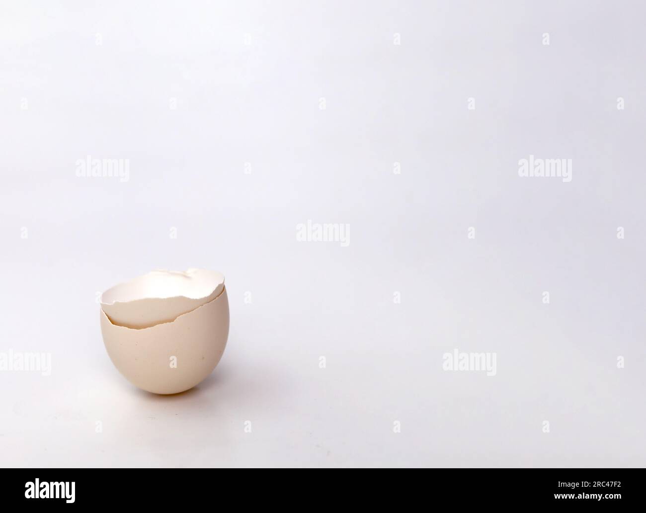 Cracked egg hatch hi-res stock photography and images - Alamy